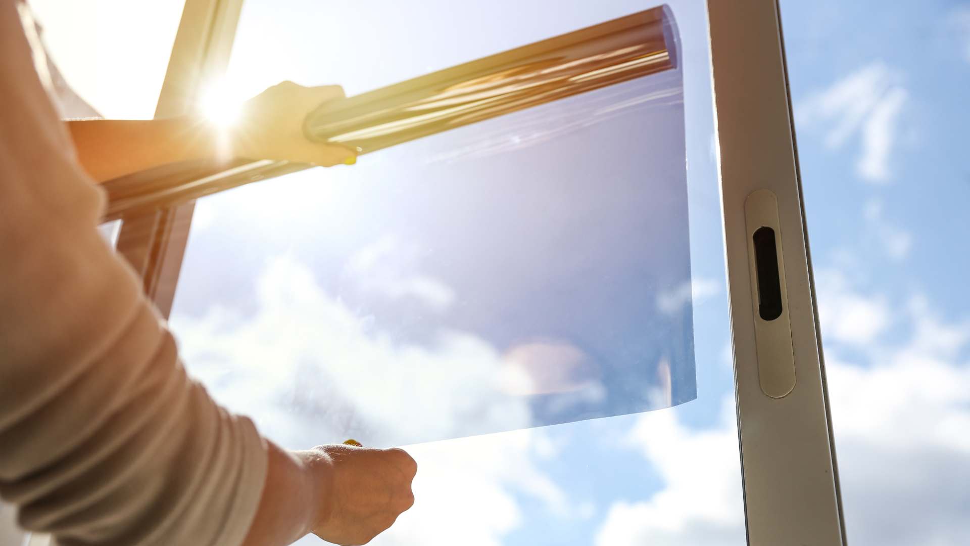 Exploring the Different Types of Commercial Window Tinting - Flying ...